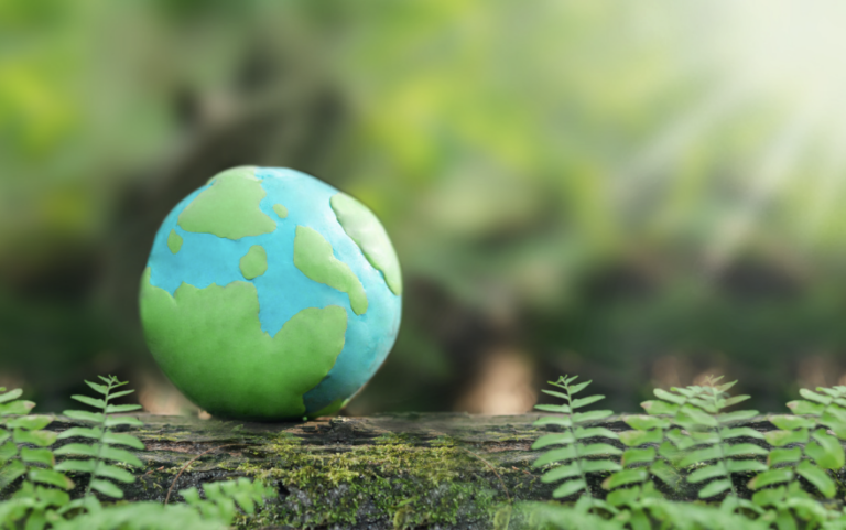 How Does Glass Recycling Work Ripple Glass